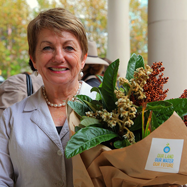 Pittwater Online News