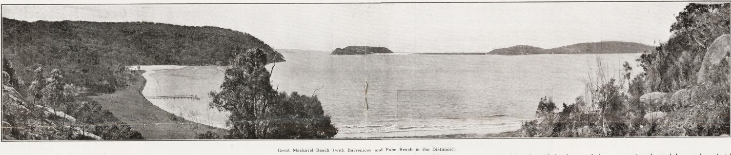 Pittwater Online News