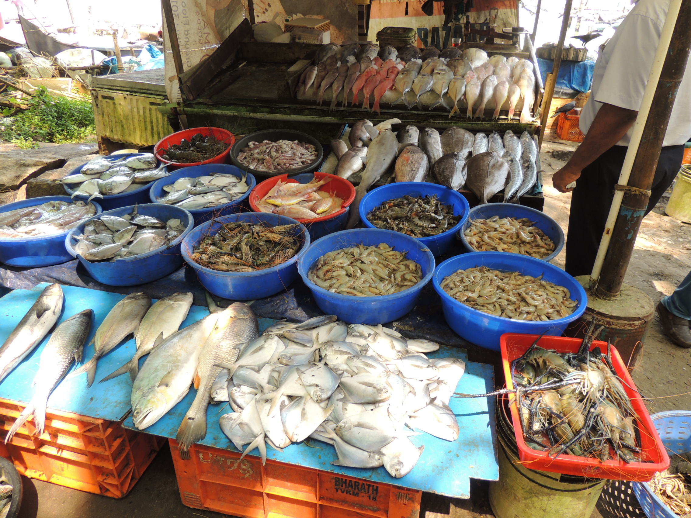 Pittwater Online News