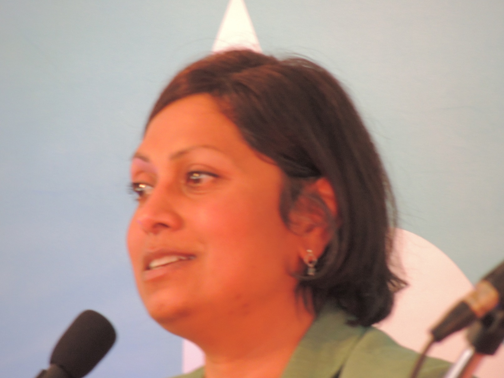 Pittwater Online News