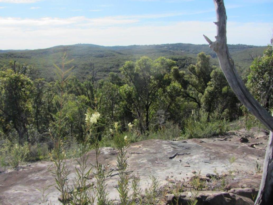 Pittwater Online News