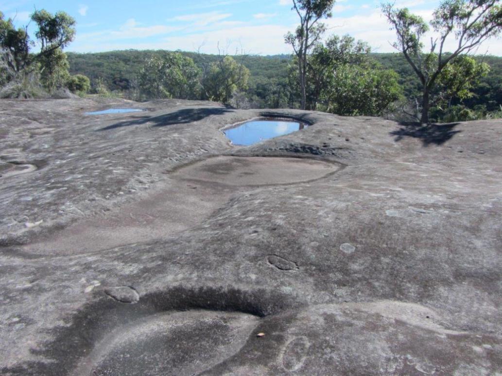 Pittwater Online News