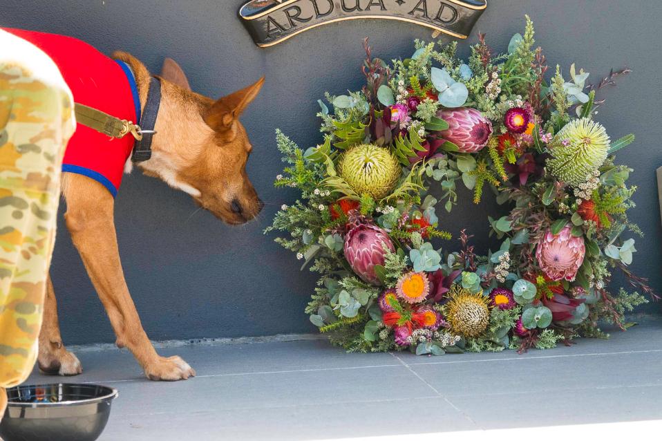 Pittwater Online News