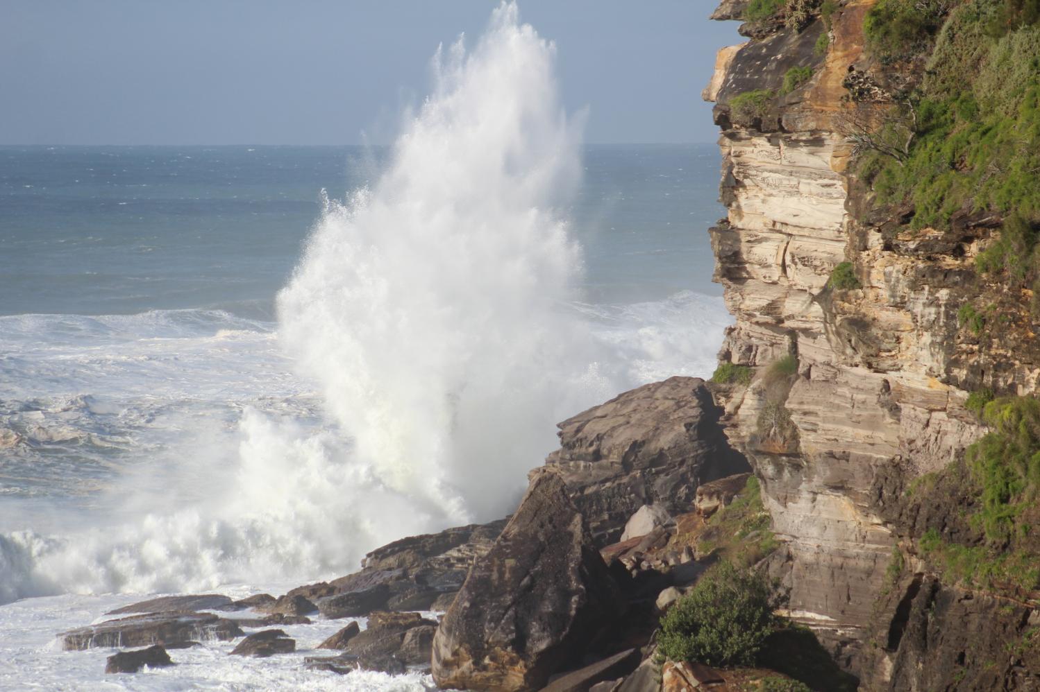 Pittwater Online News