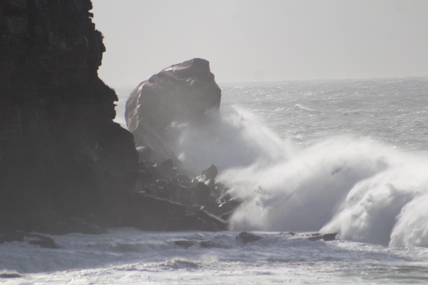 Pittwater Online News