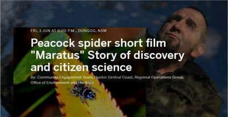 Pittwater Online News